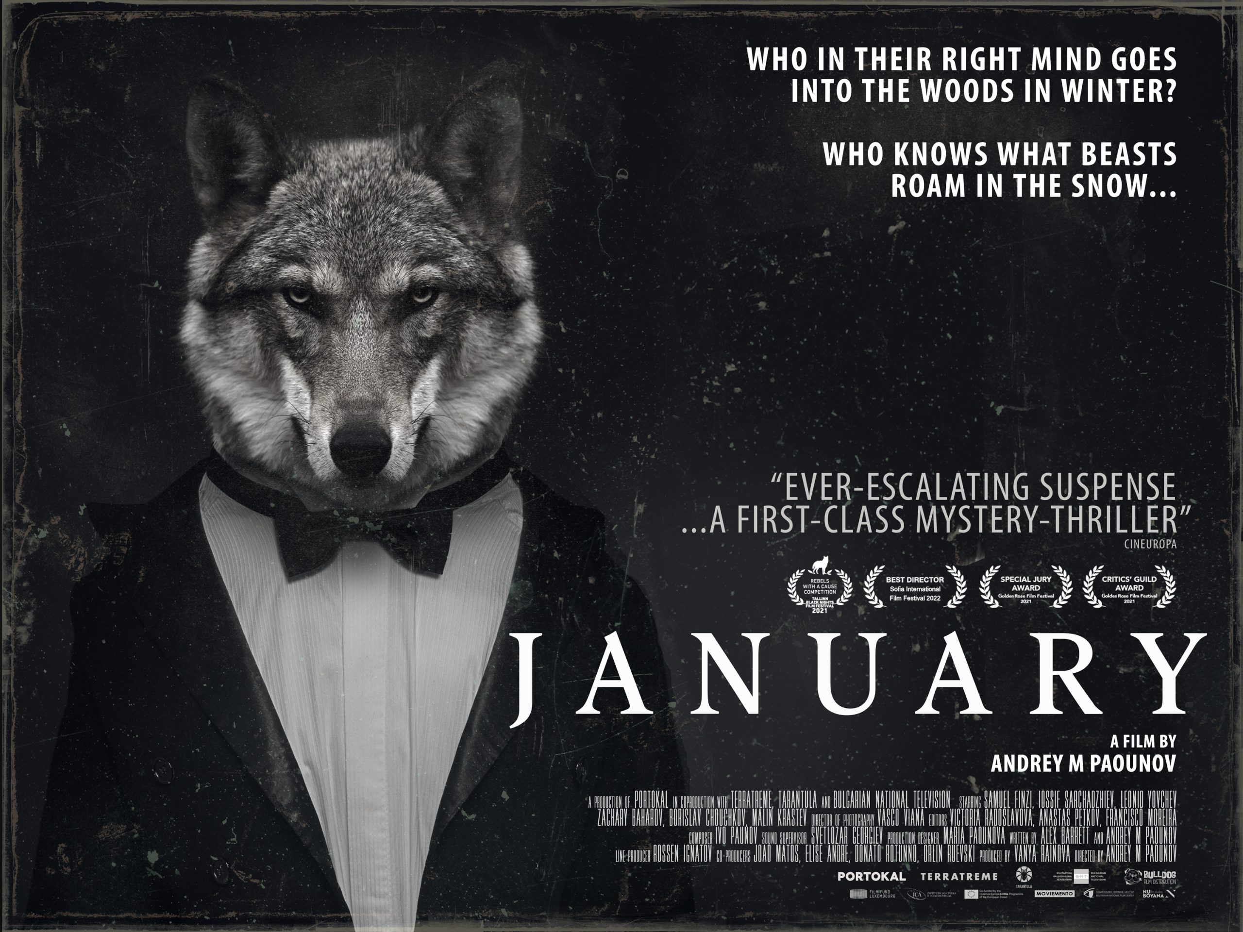 Kingston filmmaker Alex Barrett talks 'January' premiere