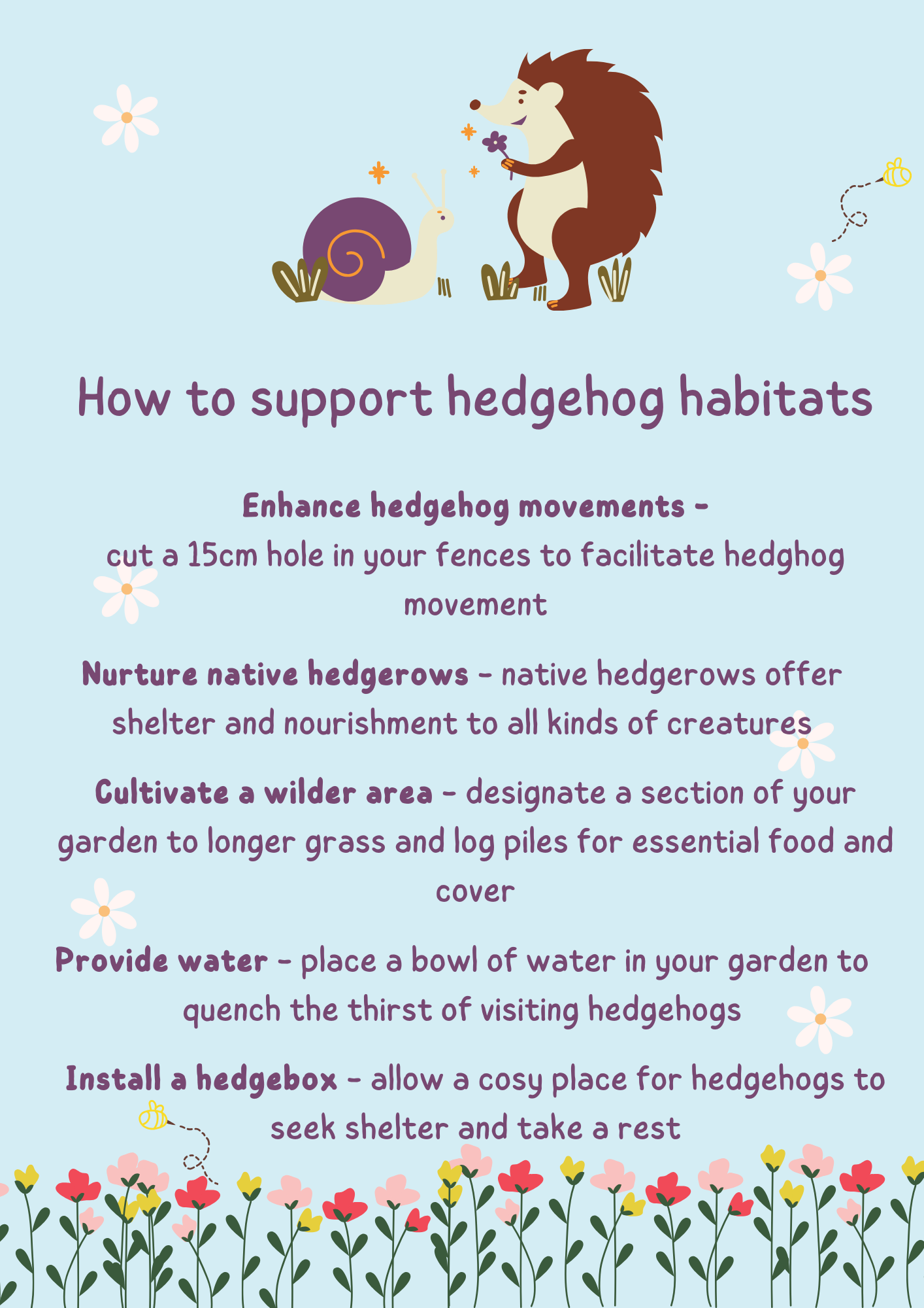 How to encourage hedgehogs in Kingston – Kingston Courier