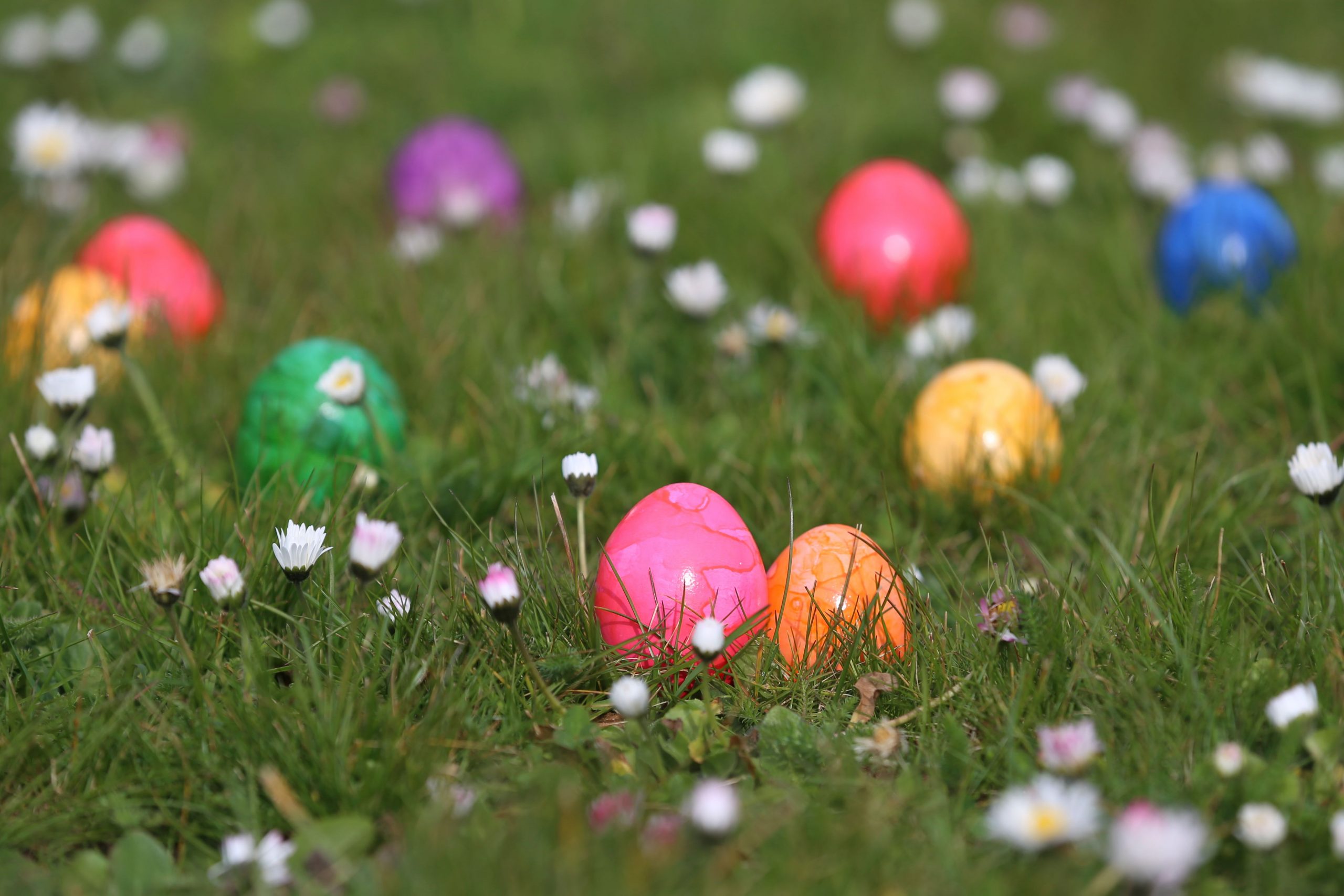 Easter egg-xitement: Where to hunt, craft and celebrate this April ...